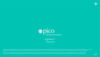Corporate Brochure - Pico Group [2024 Version] | PPTX