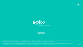 Pico Corporate Brochure 2021 | PDF