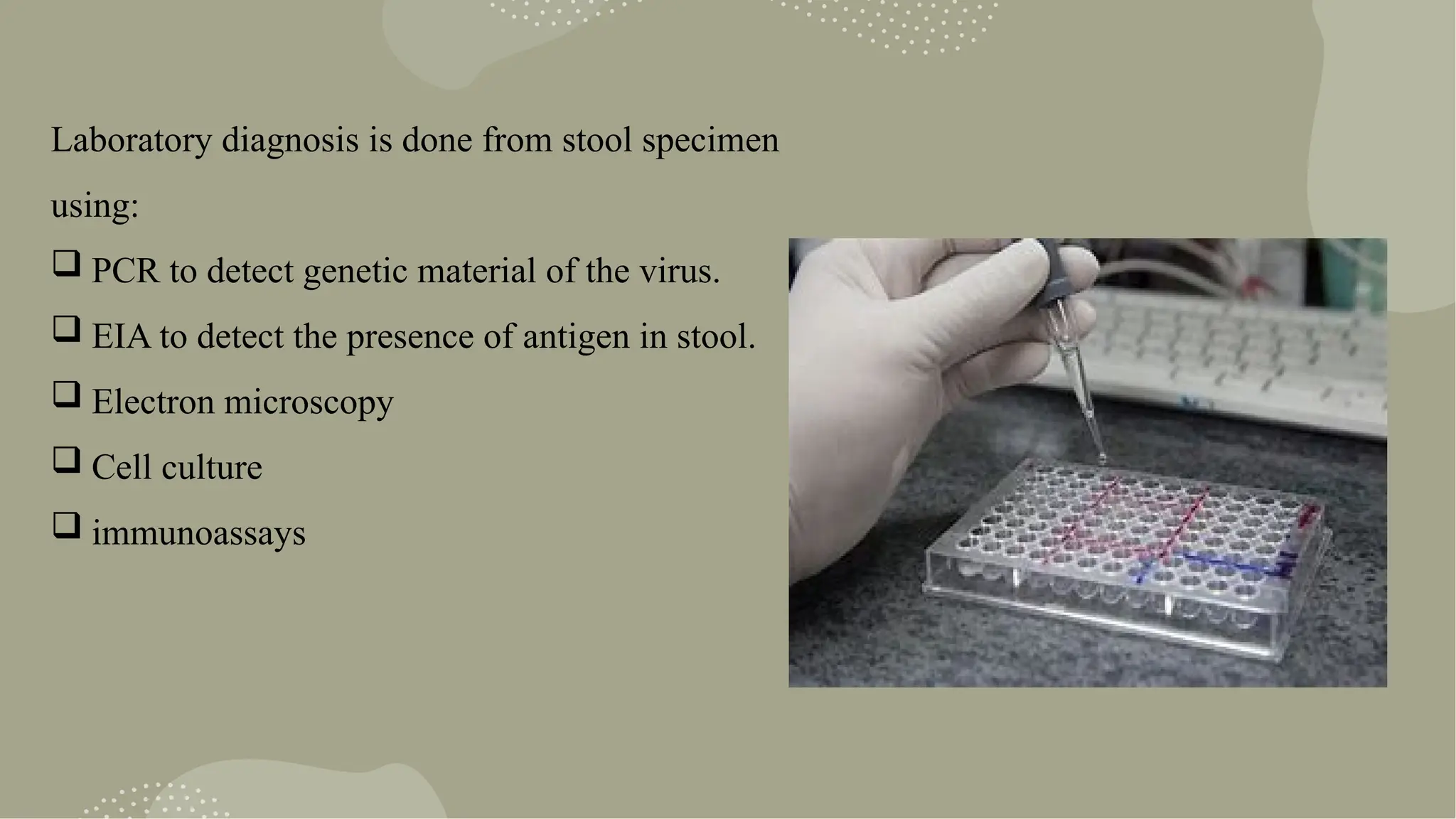 picona,icosahedral morphologicalviruses. | PPTX