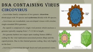 picona,icosahedral morphologicalviruses. | PPTX