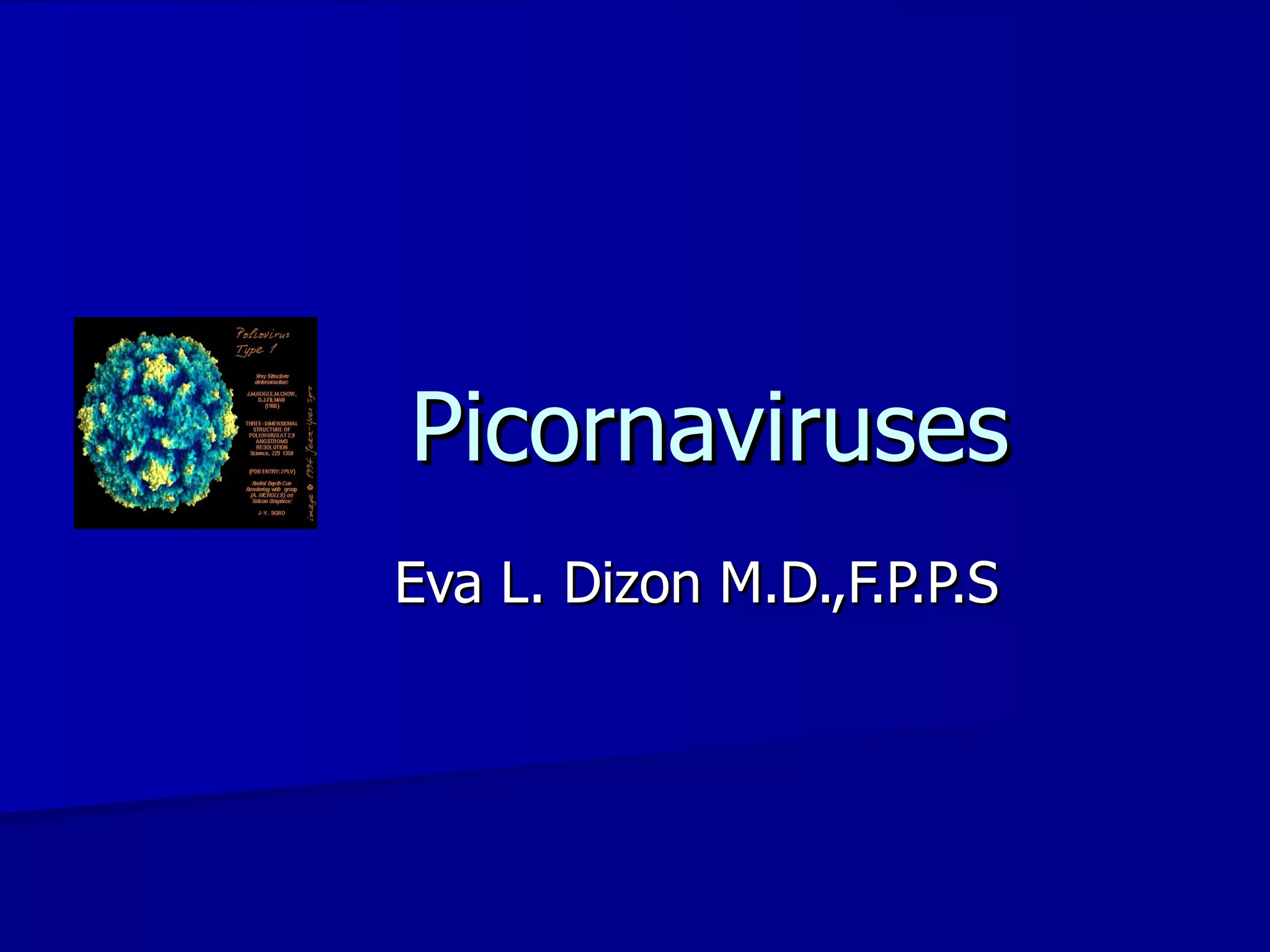 Picornaviruses | PPT
