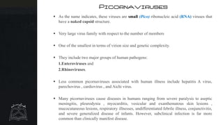 Picornaviruses presentation Farhang Shapouran | PPT