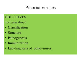 Picorna viruses | PPTX