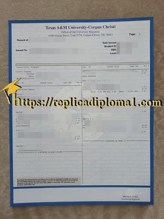 Where to Buy 1:1 Replica (TAMU) Texas A&M University Transcript? | PDF