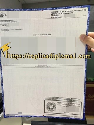 Buy Fake UCLA (University of California, Los Angeles) Official ...