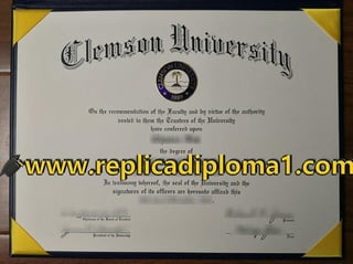 What's the best website to order a phony Clemson University degree? | PPT