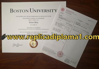 How many people does to buy a fake Boston University degree and ...