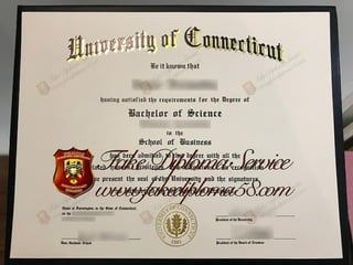 University of Connecticut Diploma, UConn Degree Diploma | PPT