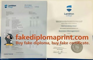 Buying a fake Lambton College diploma and transcript for a job. | PPT