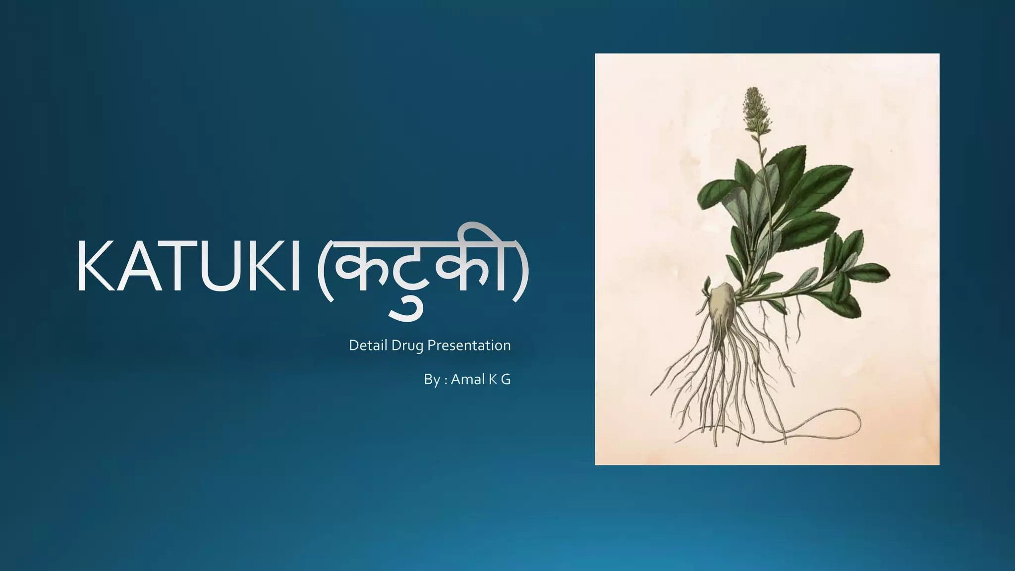 Picrorhiza kurroa (katuki) | PDF