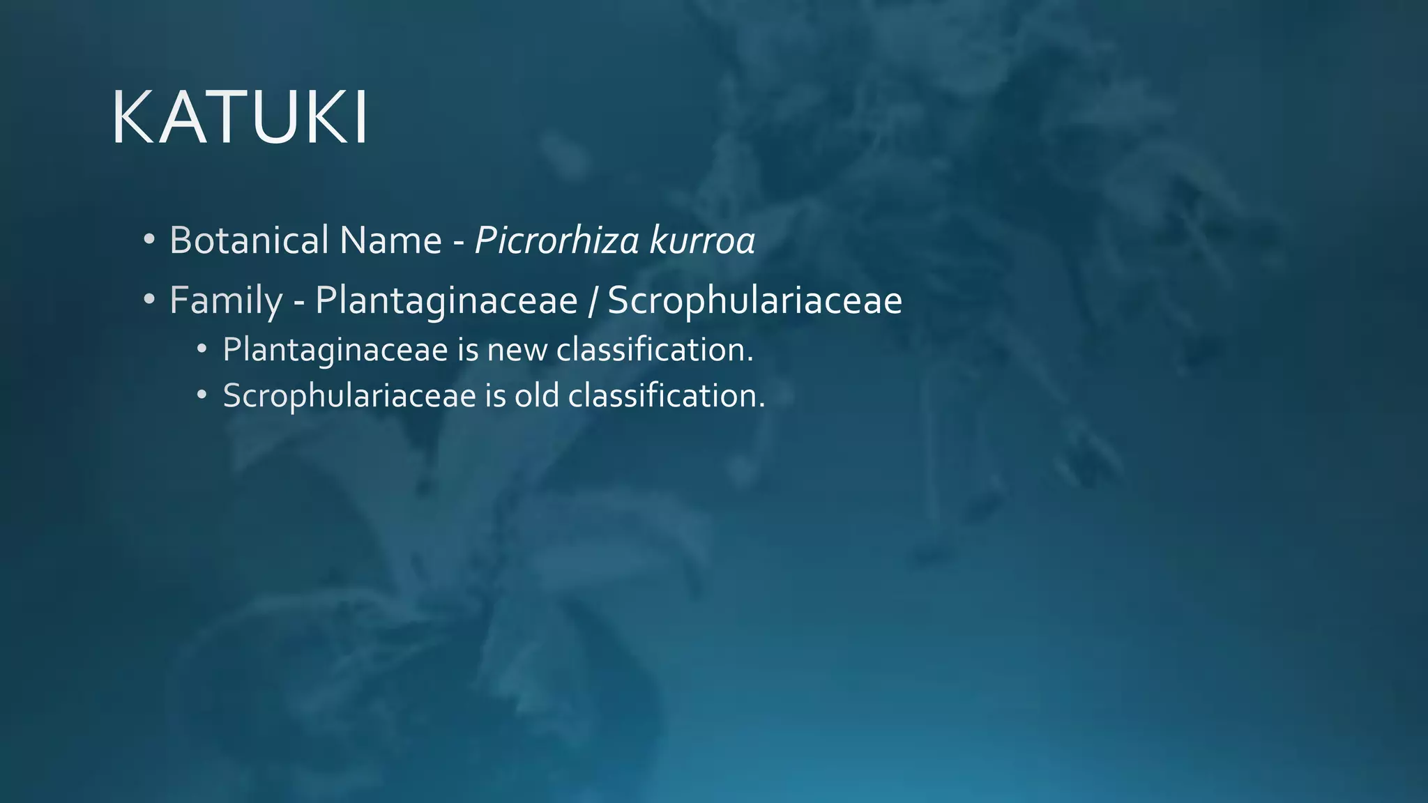 Picrorhiza kurroa (katuki) | PDF