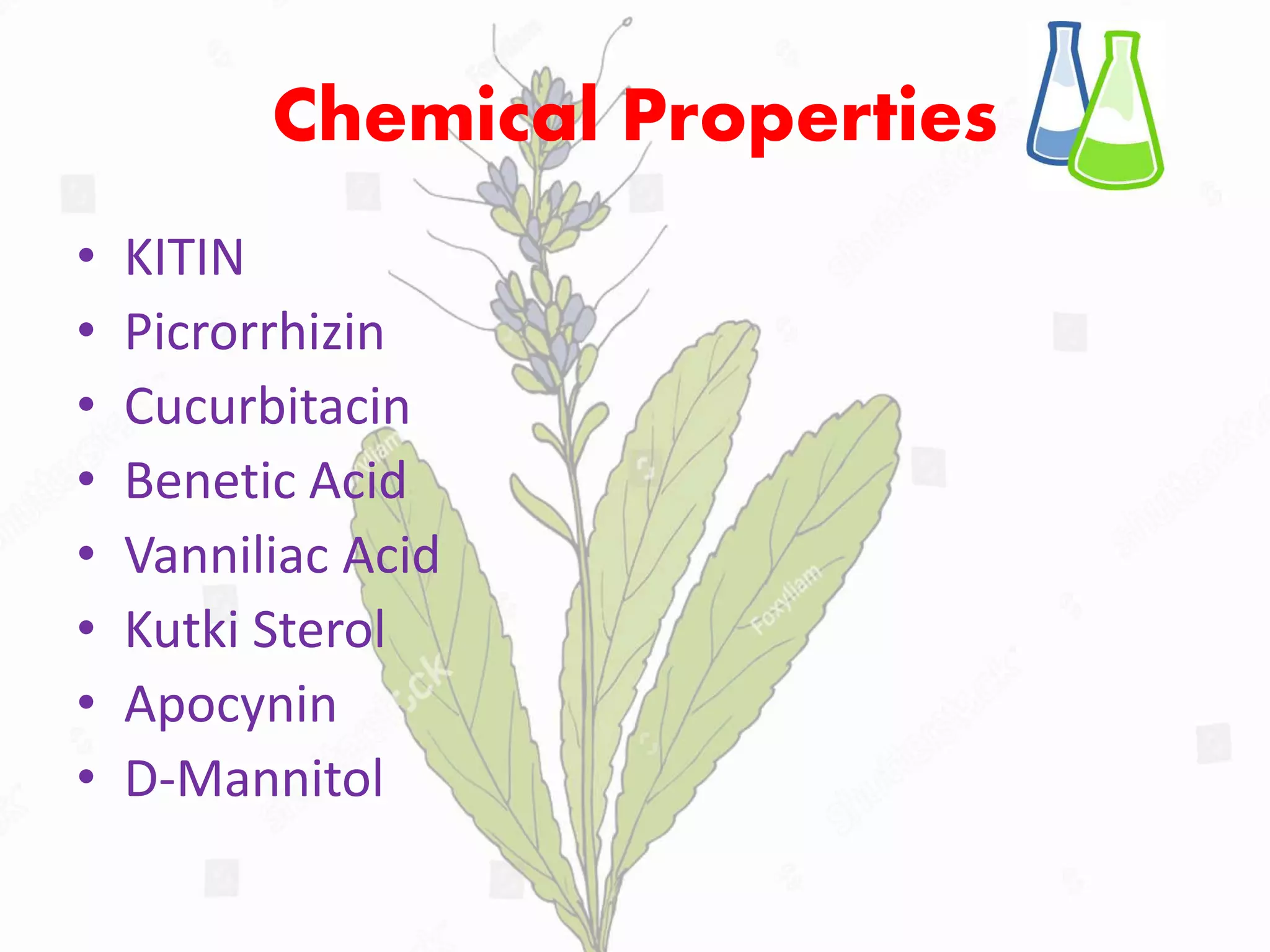 Picrorhiza scrophulariflora (kutki) | PPTX