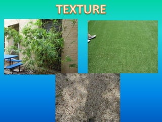 Using Elements and principles of design in photography | PPTX