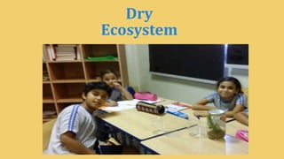 Ecosystem in a jar | PPTX