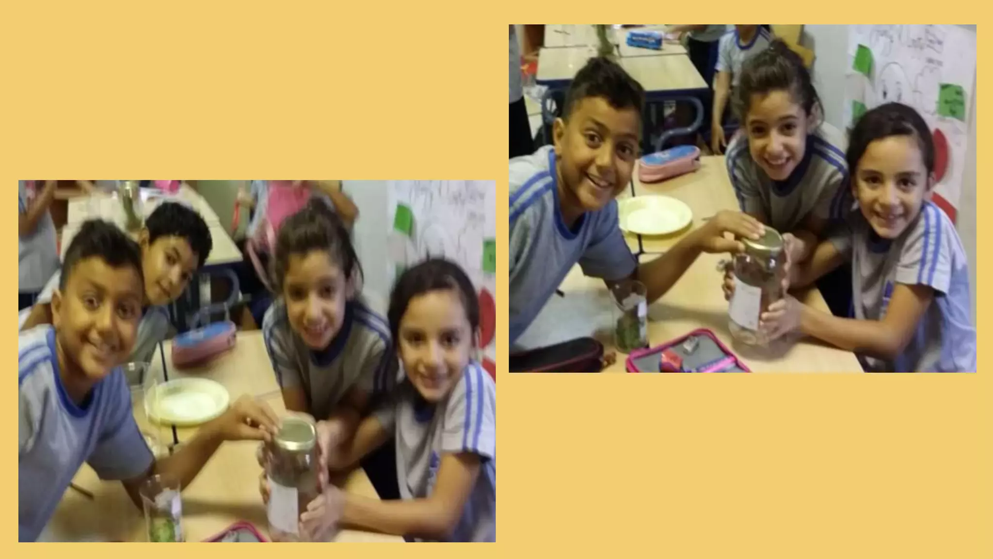 Ecosystem in a jar | PPT