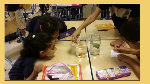 Ecosystem in a jar | PPT