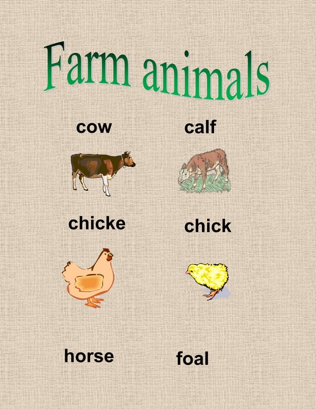 Pictionary: Farm Animals. | DOCX