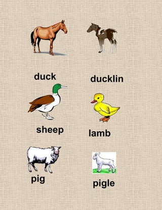 Pictionary: Farm Animals. | DOCX