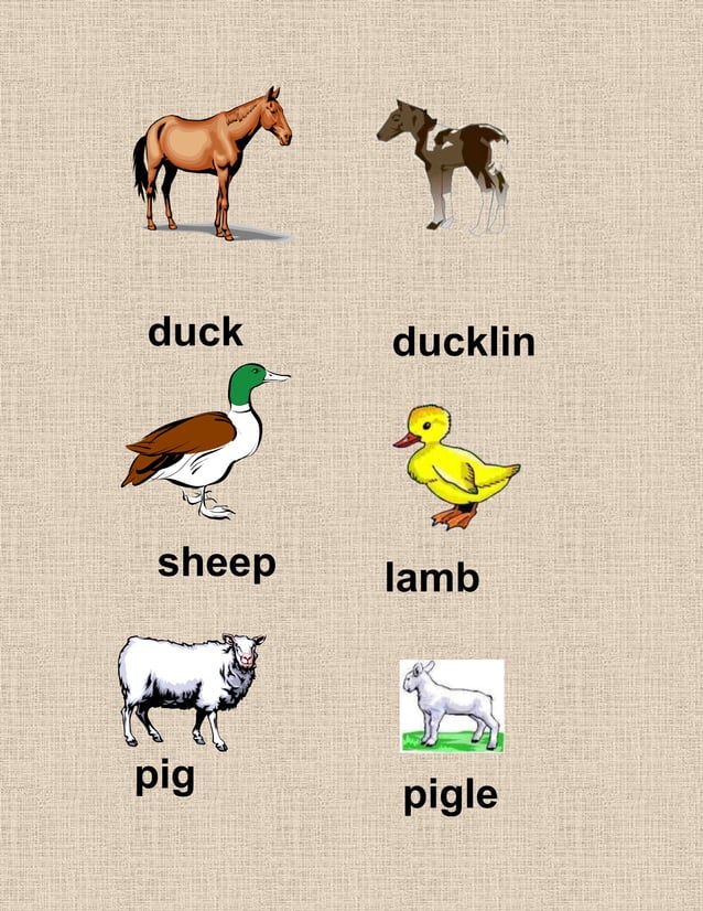 Pictionary: Farm Animals. | DOCX