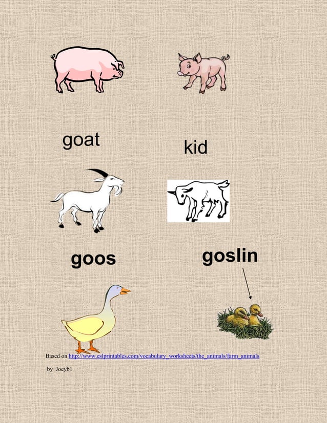 Pictionary: Farm Animals. | DOCX