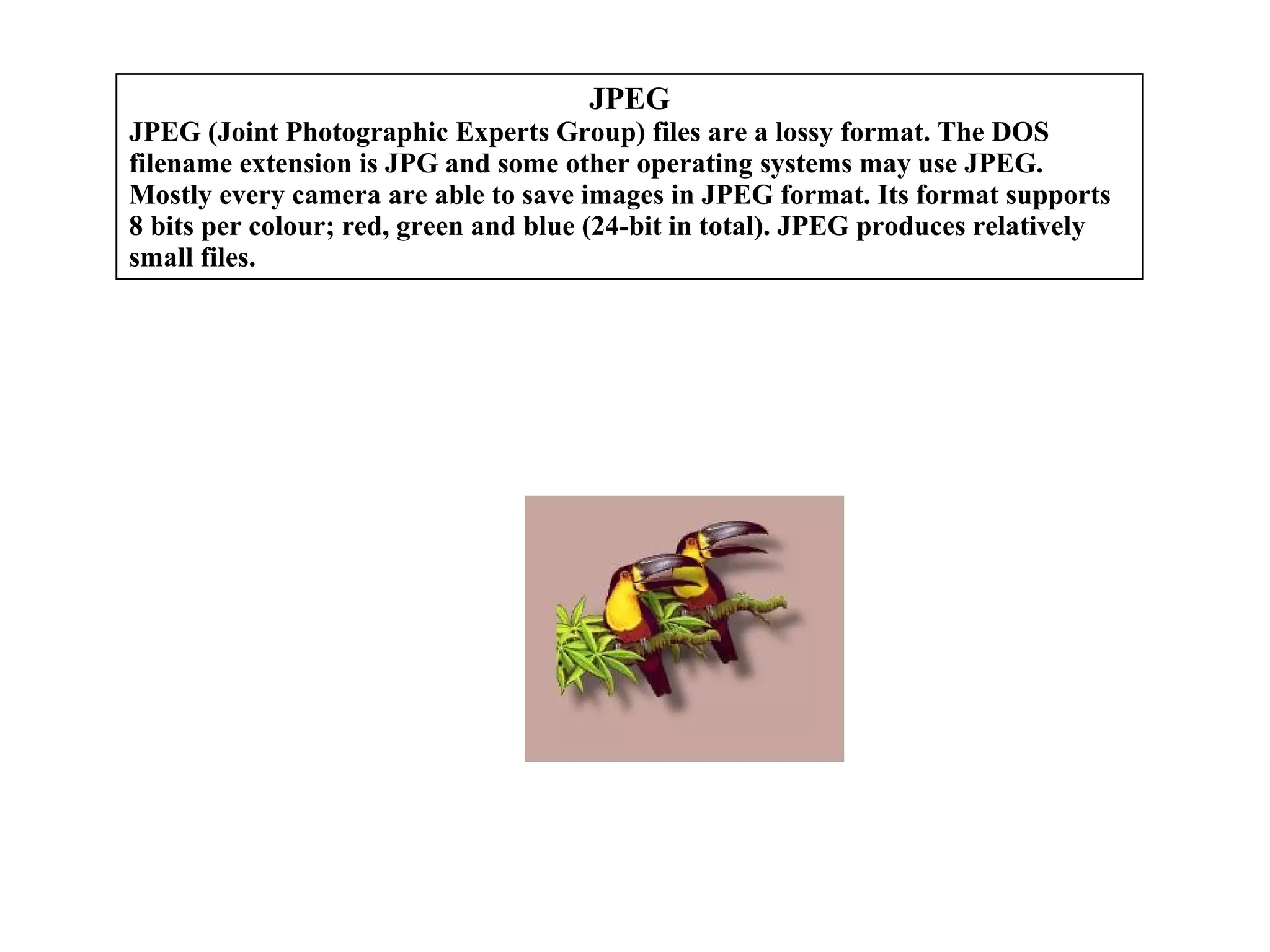 Picture Formats | PPT