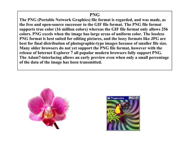 Picture Formats | PPT