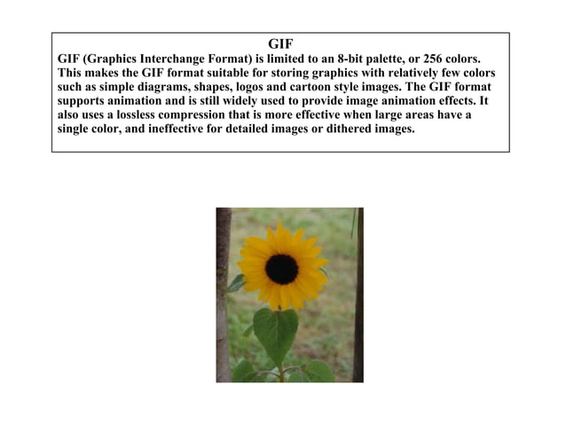 Picture Formats | PPT
