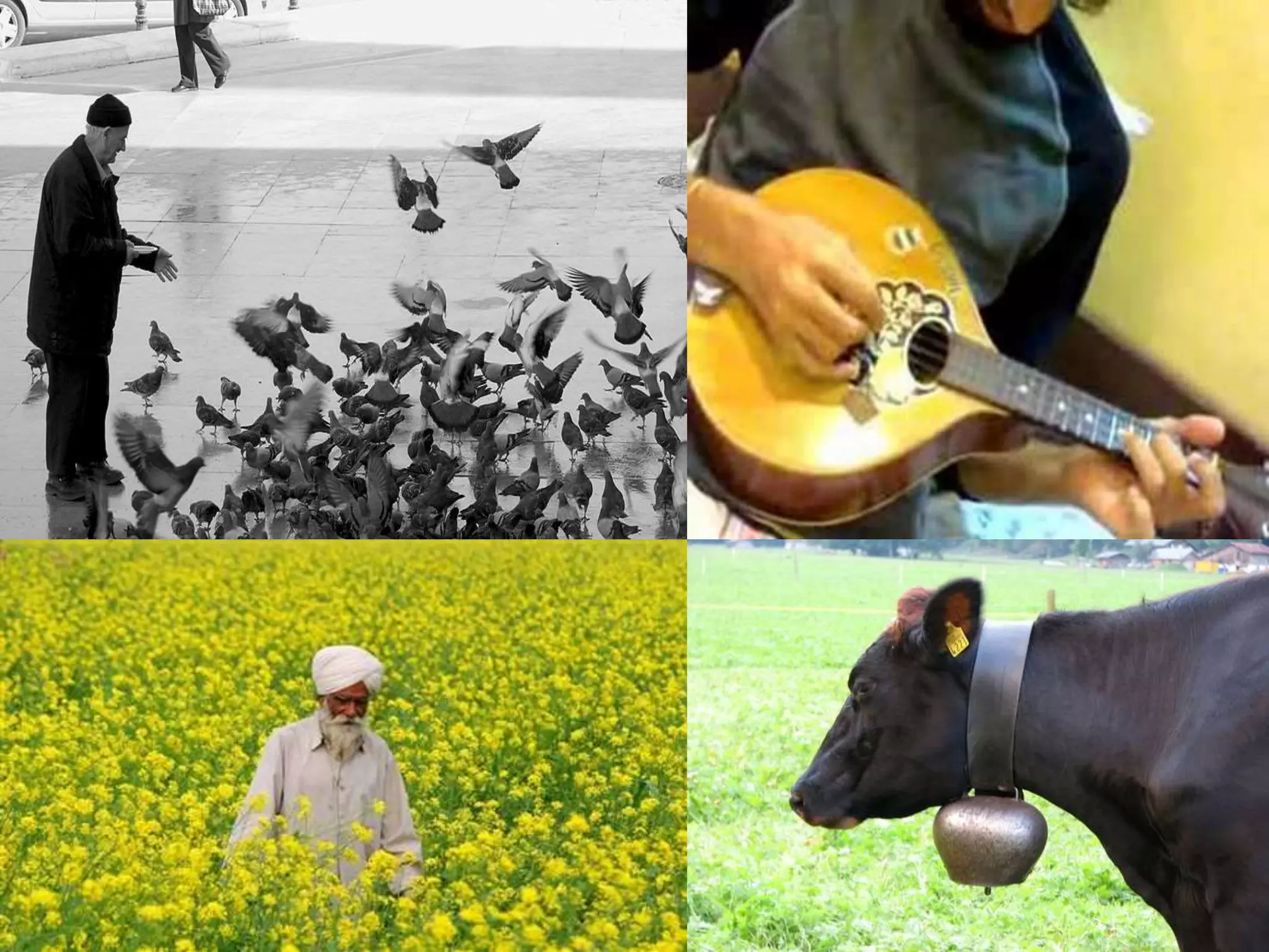 Picture connection | PPTX