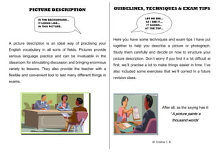 Picture description | PDF