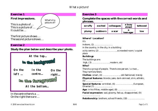 Picture description b1 PET