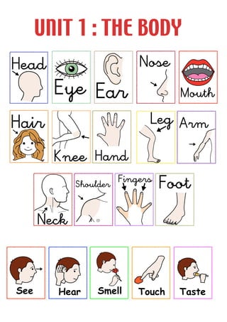 Picture dictation 1 the body | PDF