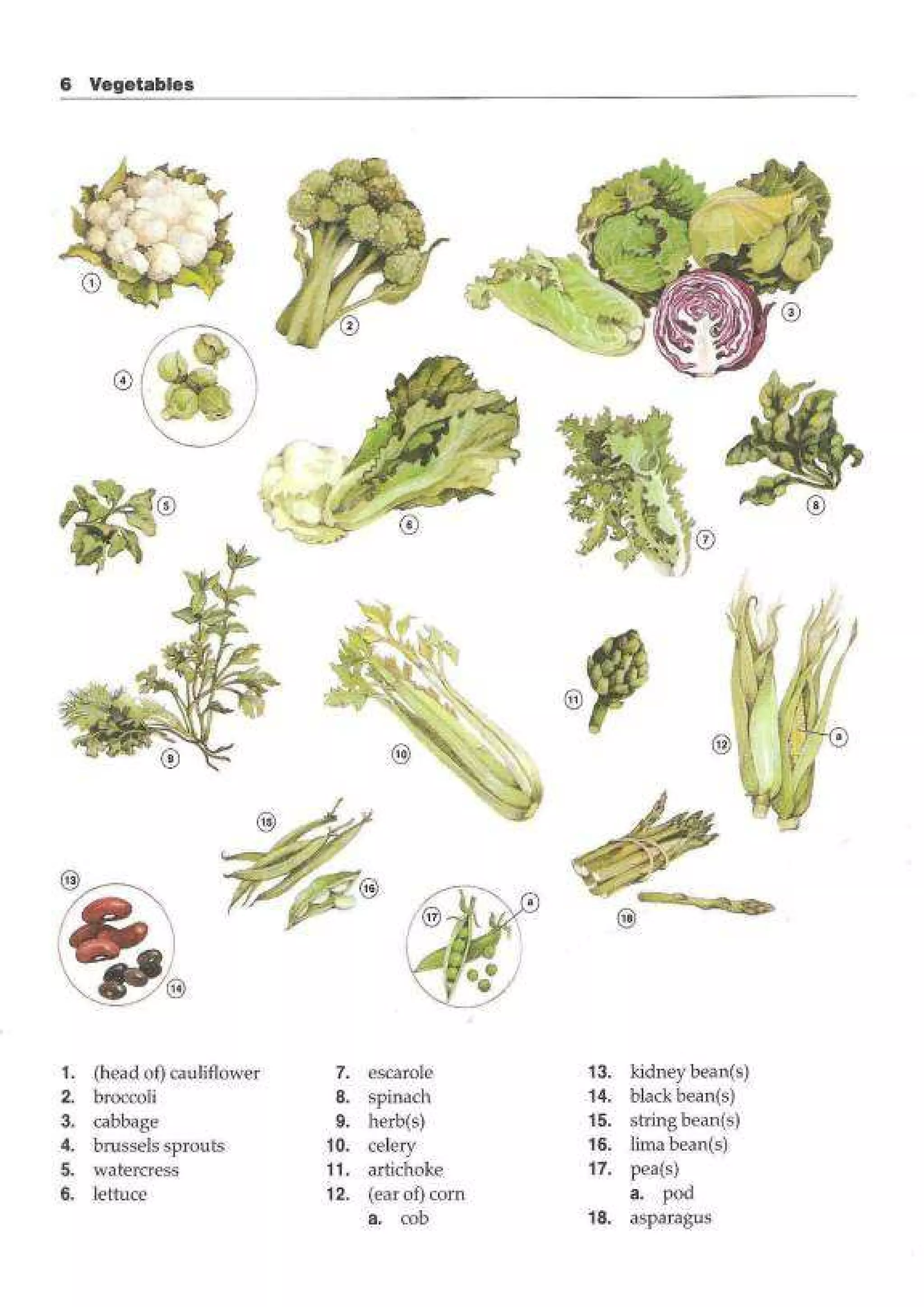 Picture Dictionary Mini-Dictionary.pdf