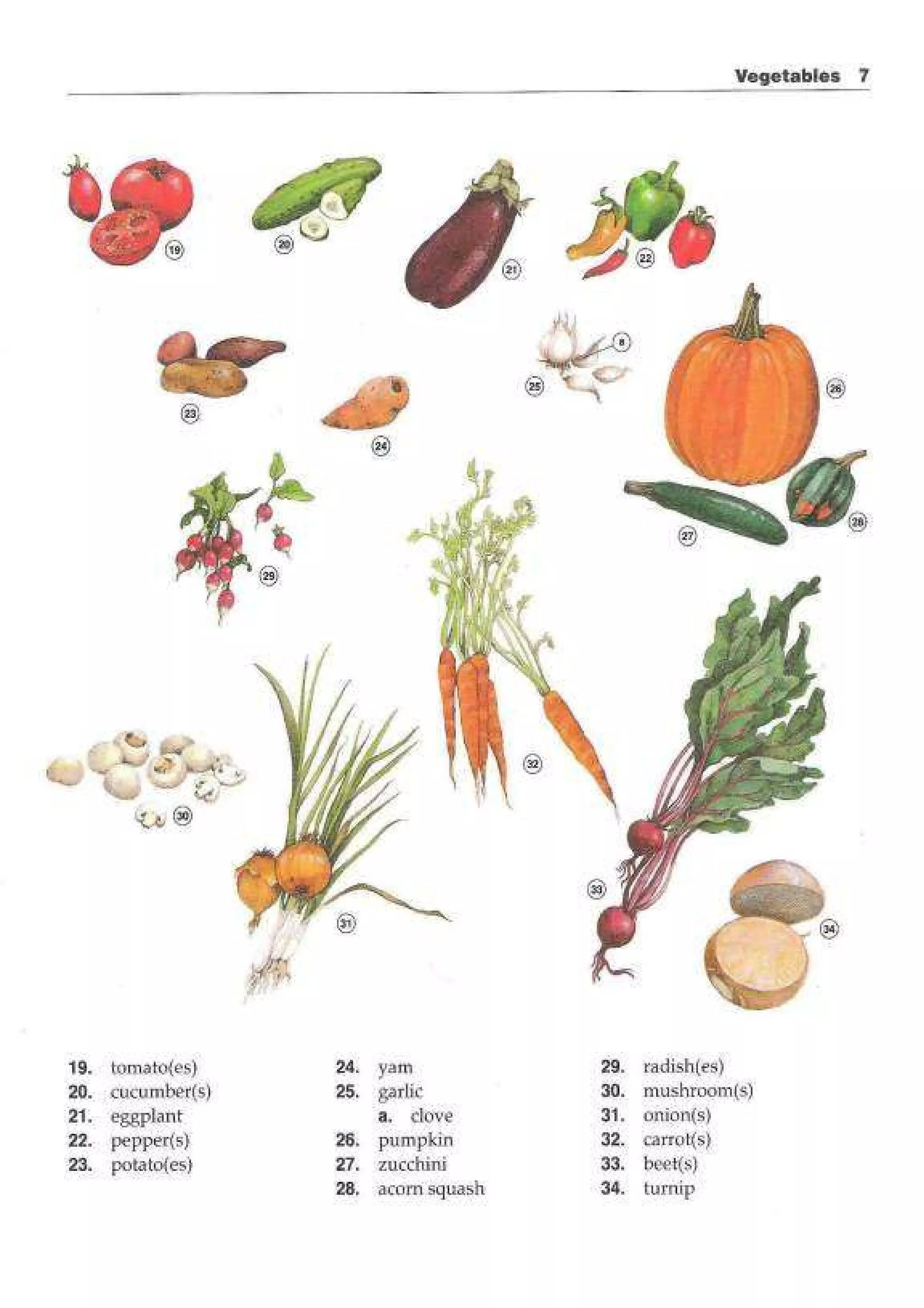Picture Dictionary Mini-Dictionary.pdf