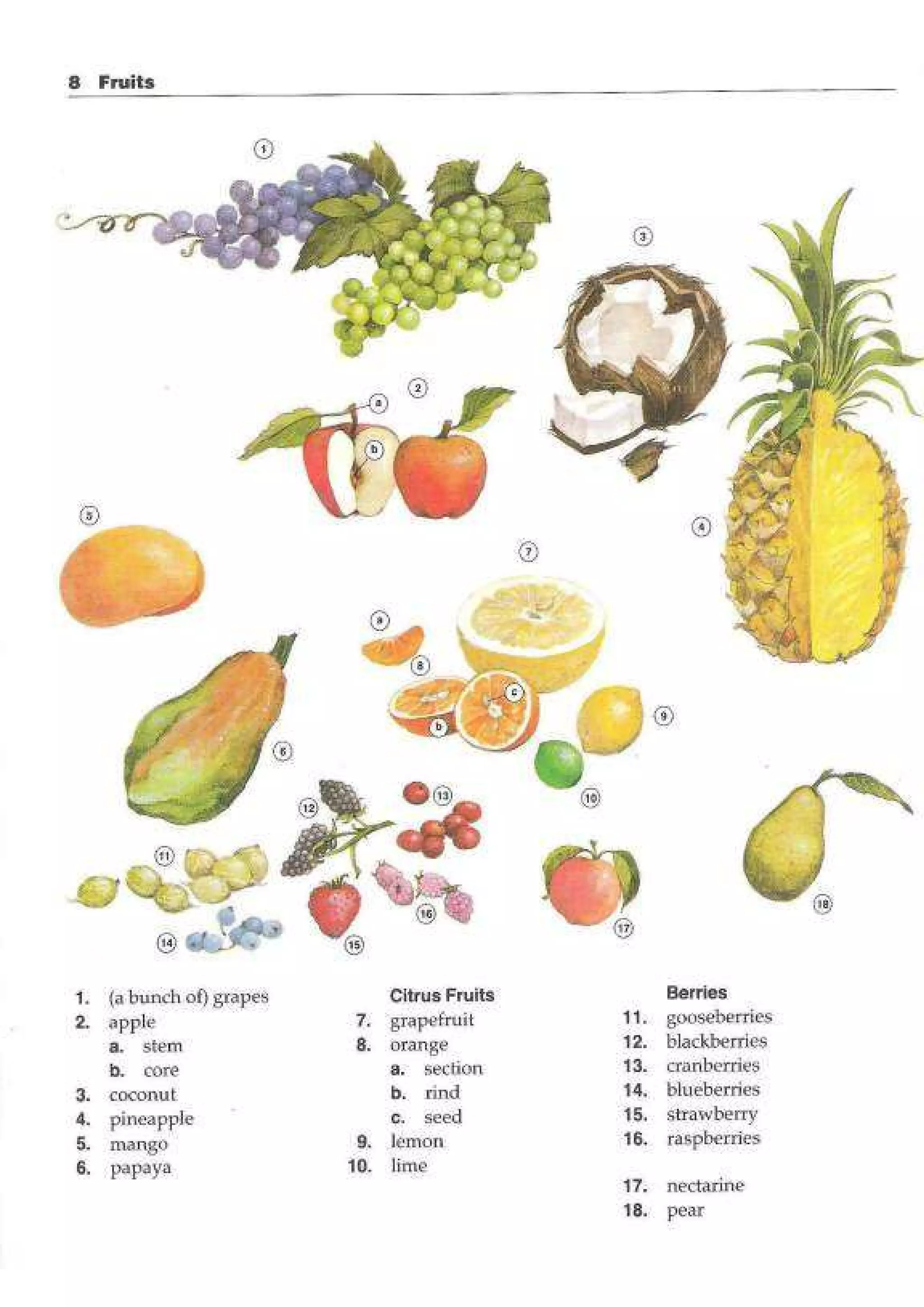 Picture Dictionary Mini-Dictionary.pdf