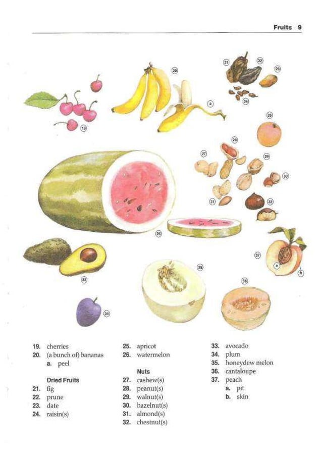 Picture Dictionary Mini-Dictionary.pdf