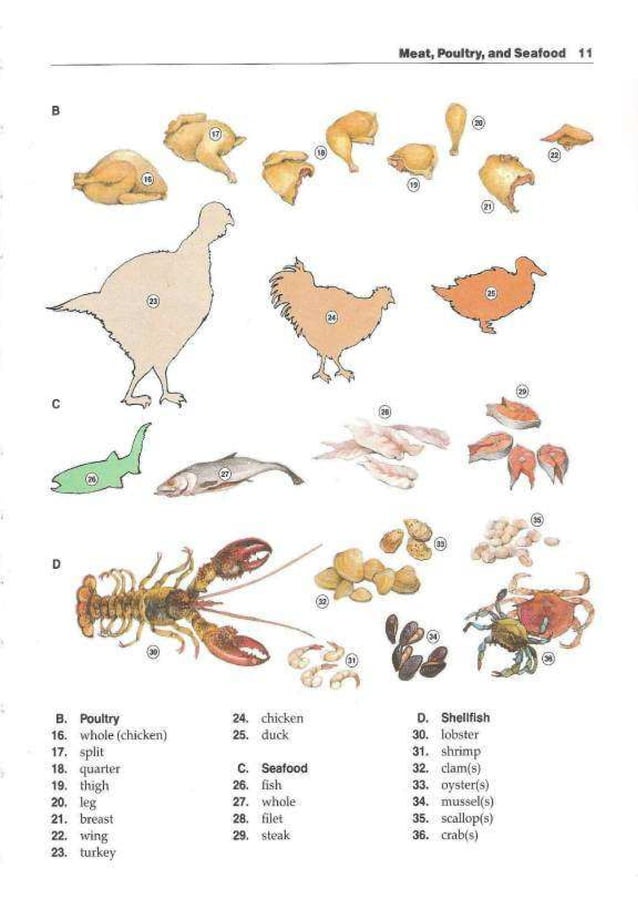 Picture Dictionary Mini-Dictionary.pdf