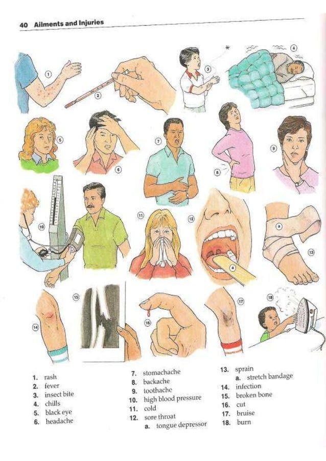 Picture Dictionary Mini-Dictionary.pdf