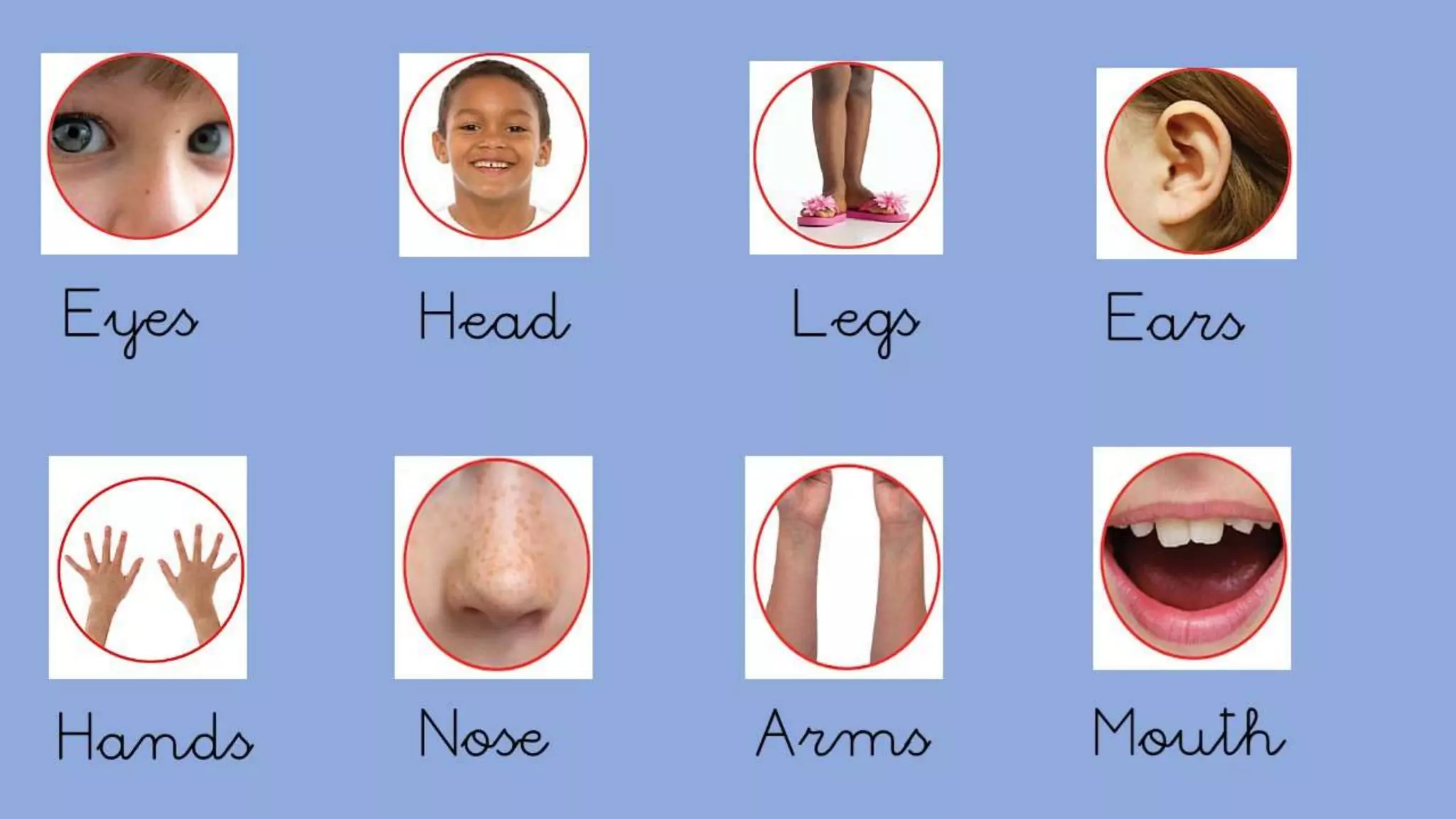 Picture dictionary unit 2 body and senses | PPTX