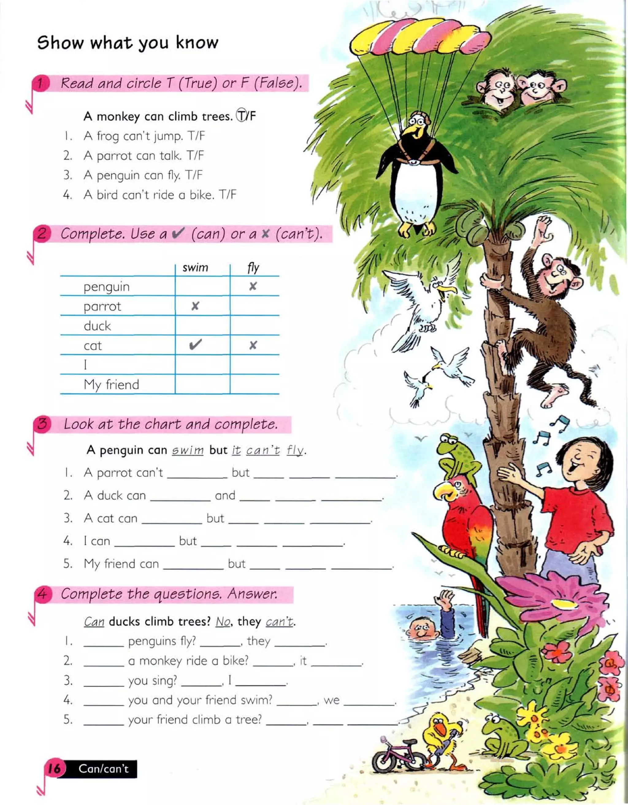 Picture grammar for children 2 | PDF