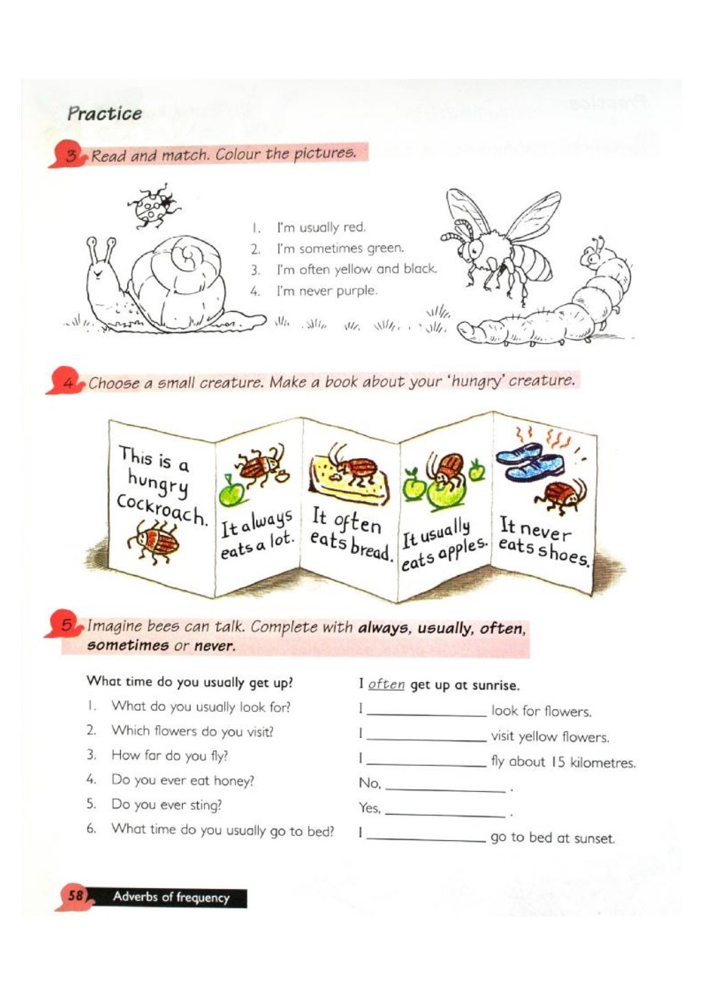 Picture grammar for children 3