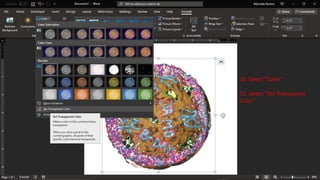 Picture manipulation in MS Word | PPSX
