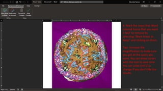 Picture manipulation in MS Word | PPT