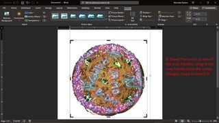 Picture manipulation in MS Word | PPT