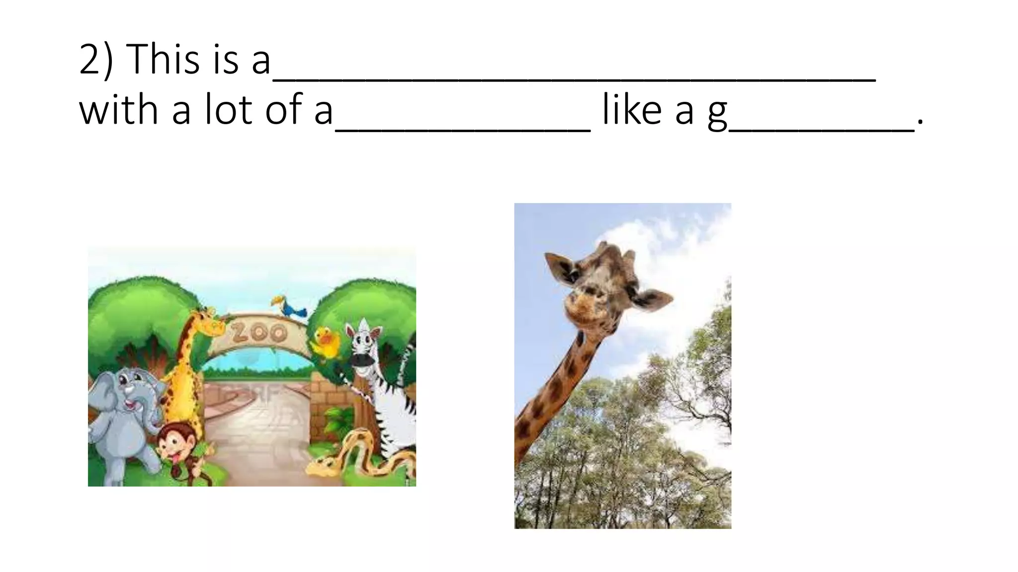 Picture observation | PPT