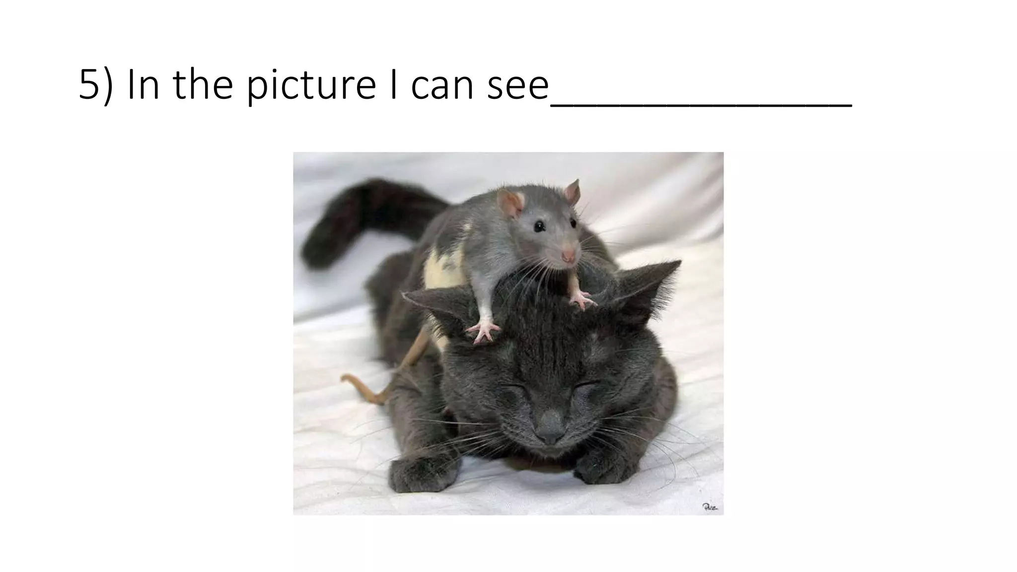 Picture observation | PPT