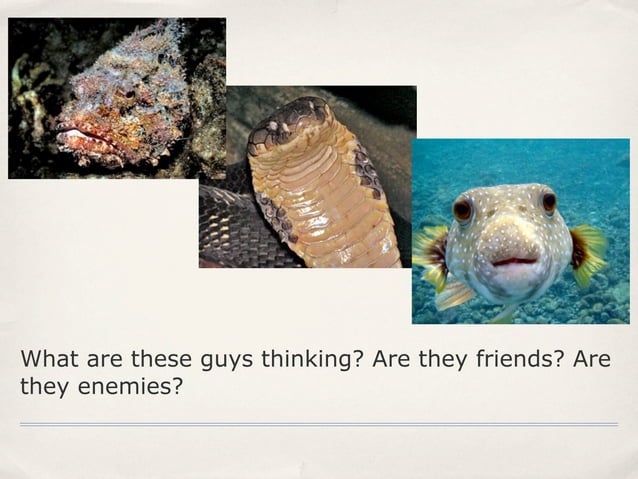 Picture prompts | PPT