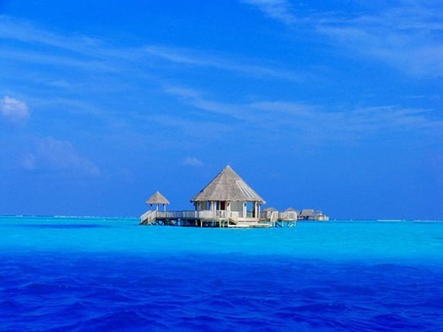 Digital Photography - Blue Sunshine | PPT