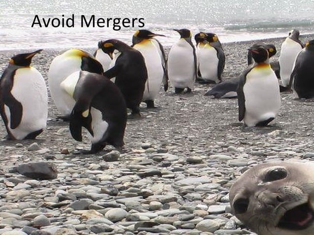 Composition Rules | PPT | Photography | Arts and Crafts