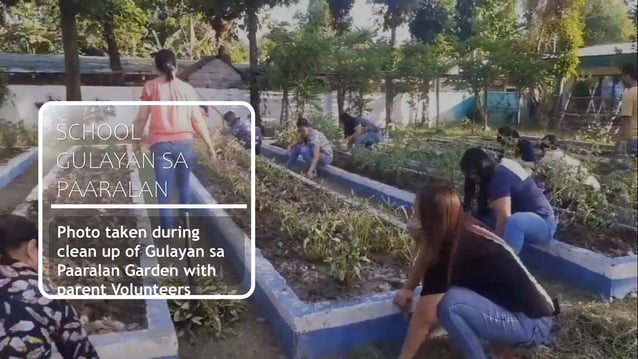 Pictures of random school things and other activities | PPT