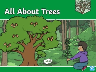 All about trees | PPTX